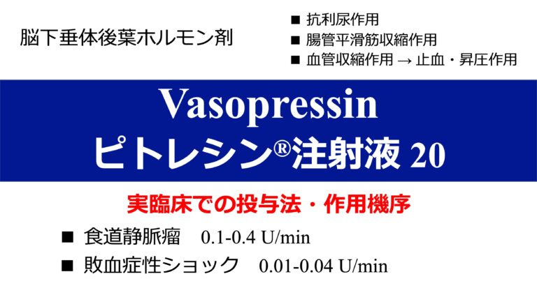 ピトレシンの投与方法 | アラフォー病院薬剤師の変わり映えしない日常